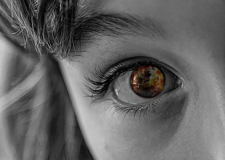 Dignidad: Significado, Importancia y Factores que la Determinan