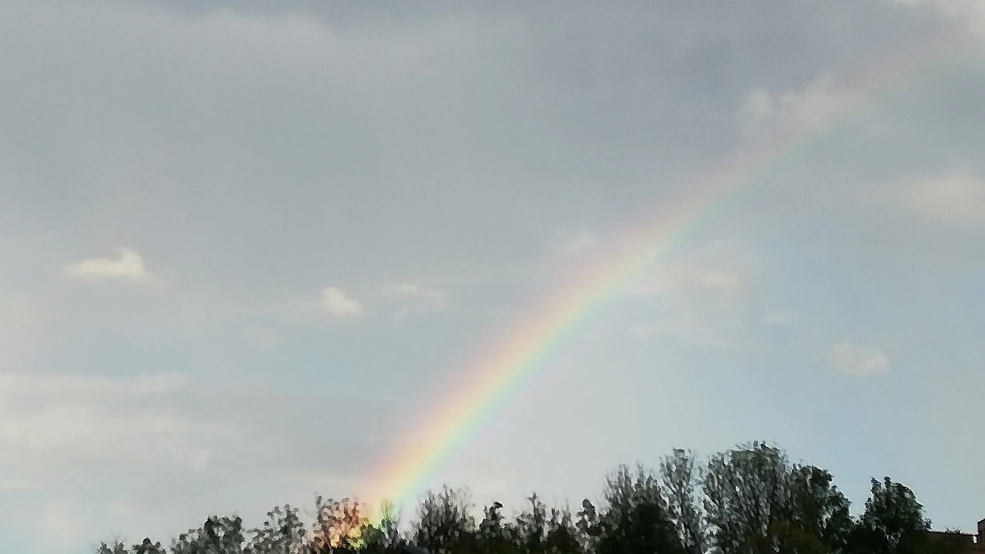 El Arcoíris: Significado de Sus 7 Colores y el Fenómeno Óptico Que Lo Crea